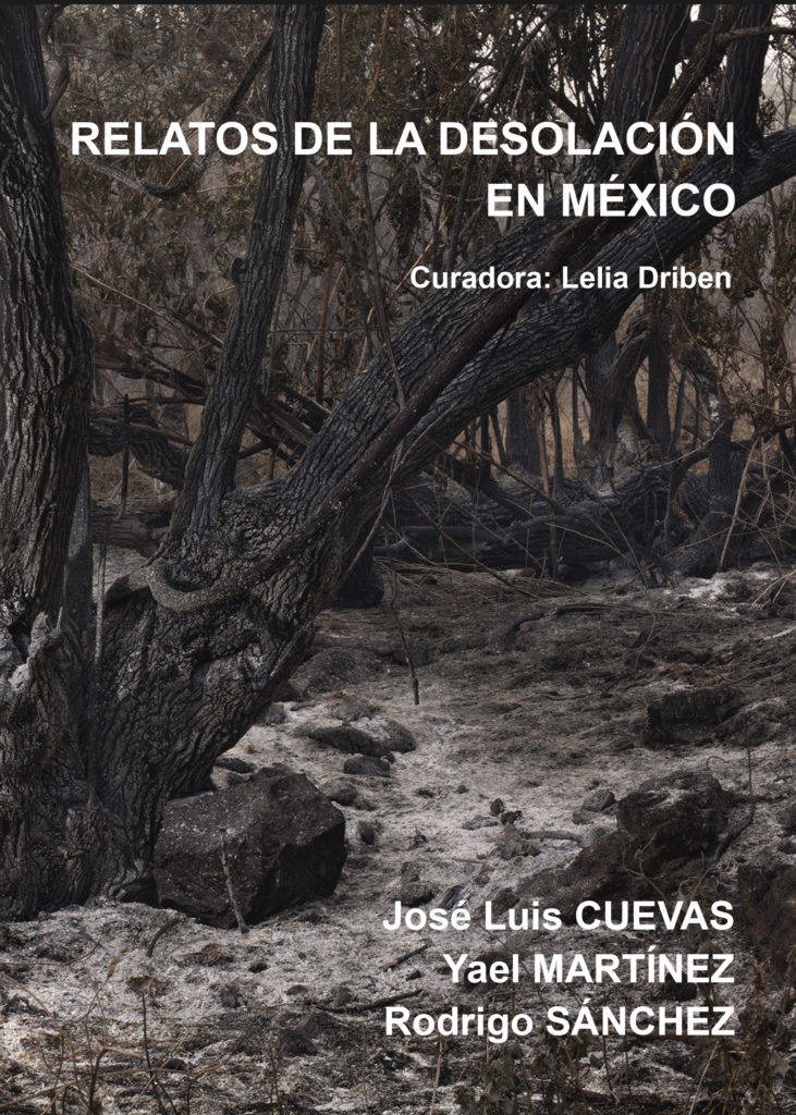Relatos de la Desolación en México (2016) - ArtexArte